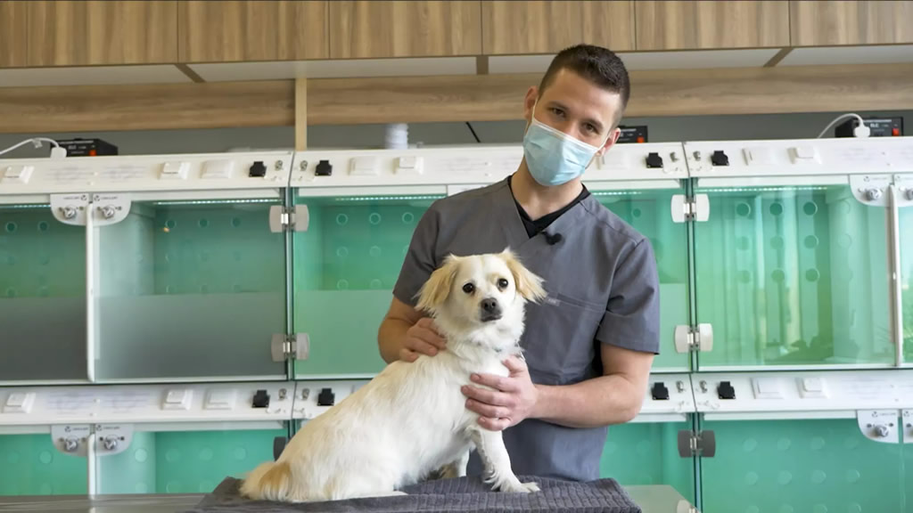 Merchants of Helcim: Fen Vet